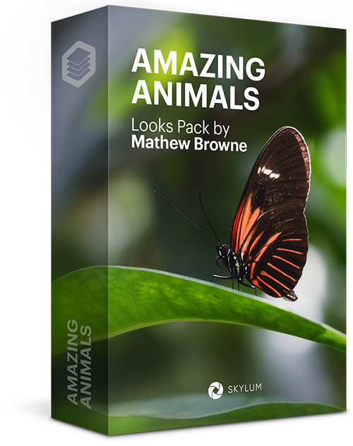 Mathew Browne photographer | Luminar Marketplace
