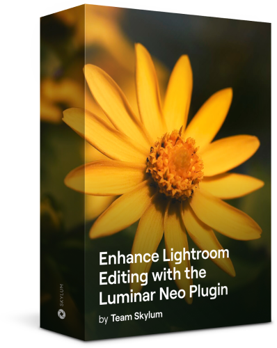 Photo Editing Classes: Buy Photography Editing Courses | Luminar ...