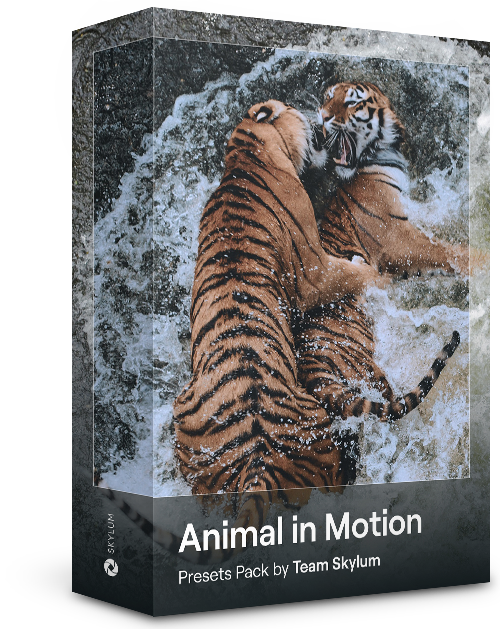 Animaux en mouvement